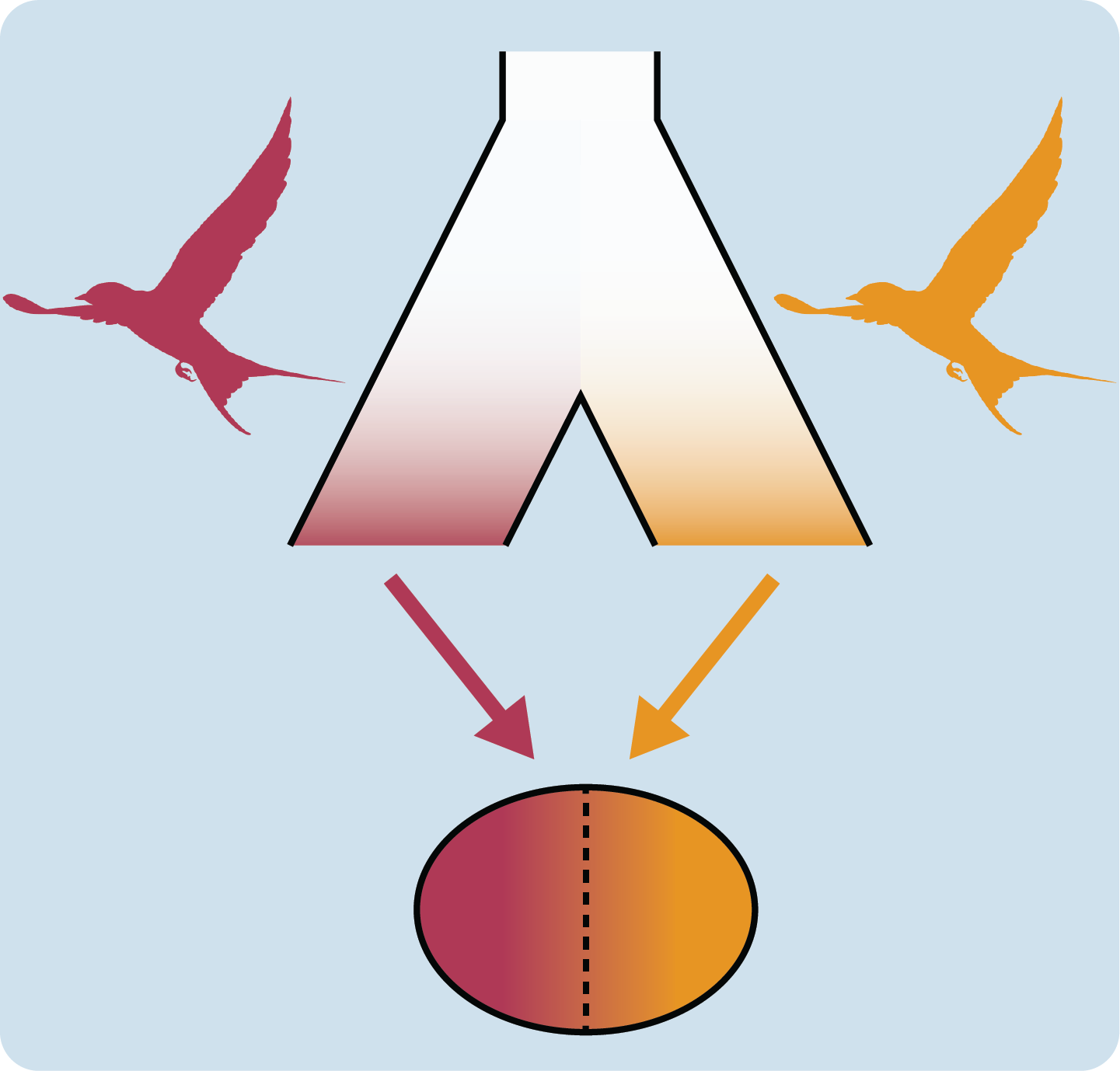 GitHub – Schield Lab